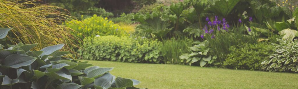 Services Prior Lake - JDJ Home and Yard Services L.L.C.